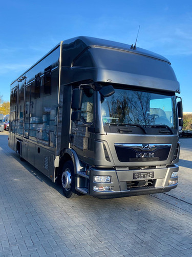 MAN 15.290, 5 Pferde, gebraucht, neuer Aufbau! | Mafa Transporter