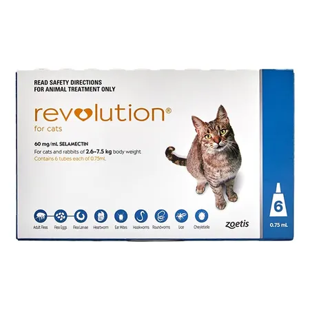 Revolution Blue For Cats 2.6 - 7.5kg | PetDrew