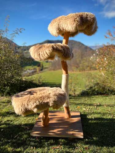 Kratzbaum Im Test
