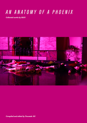 An Anatomy Of A Phoenix | Yewande 103