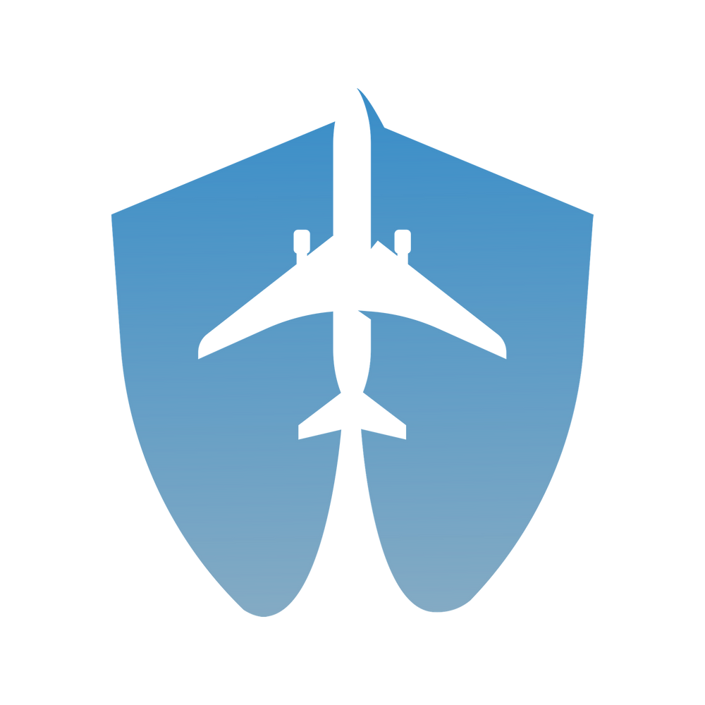 How to Read METARs, TAFs, and PIREPs: Decoding Aviation Weather Reports