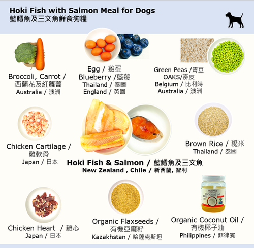 Hoki Fish with Salmon Meal for Dogs | theNutriMENU | Fresh Dog Food
