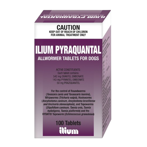 Ilium Pyraquantel Dewormer for Dogs (1 tablet) | Pawkit