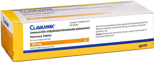 Clavamox 62.5mg Chewable Tablet 1 tablet | Pawkit