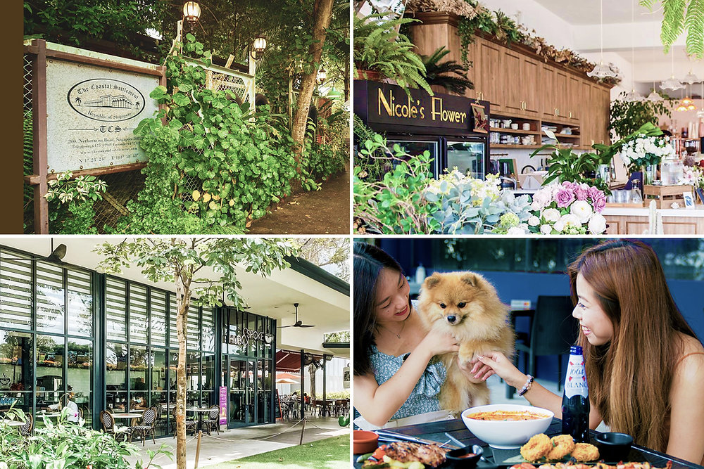 7 Dog-Friendly Cafes in the East Region of Singapore | Pawkit