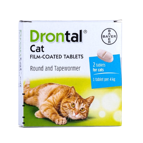 Drontal Allwormer for cat worming treatment, buy online pet medication ...