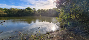 Gallery | Rode Hill Fishery