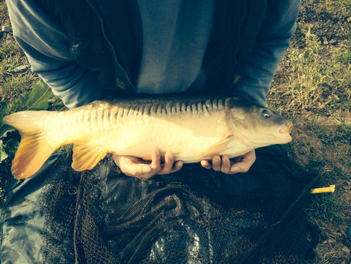 Gallery | Rode Hill Fishery