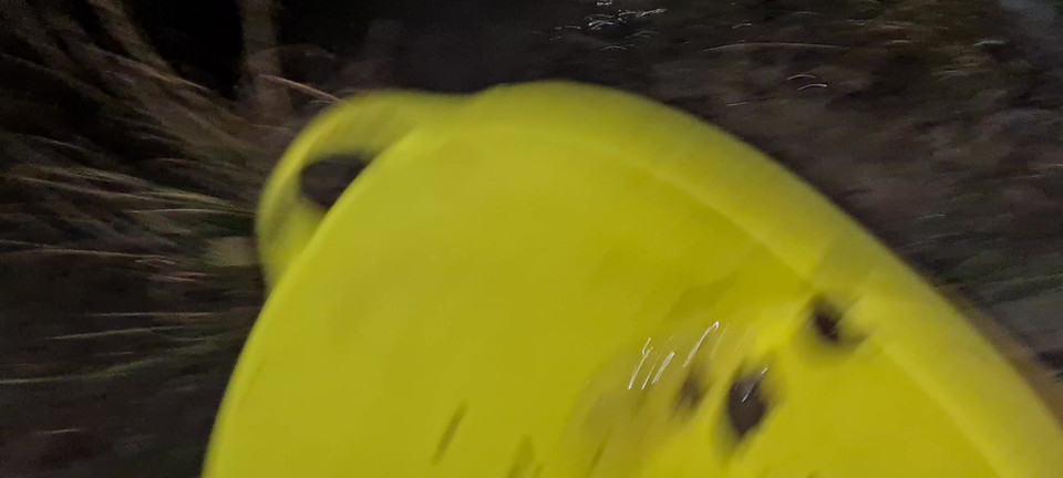 Gallery | Rode Hill Fishery