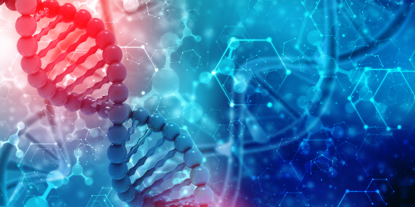 Anavex Life Sciences Provides Update on Clinical Program Development as ...