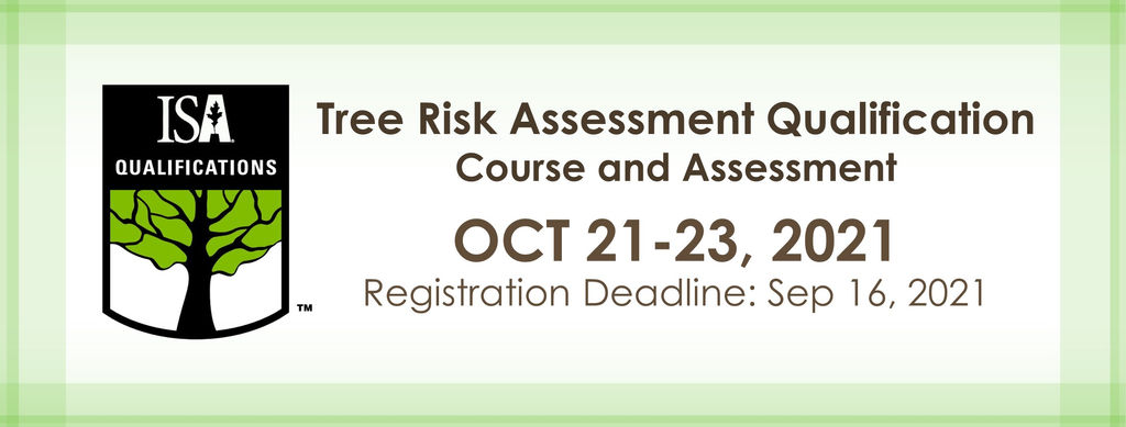 ISA Hong Kong Chapter News