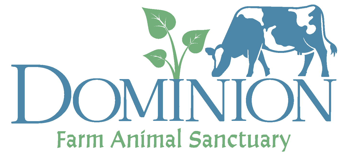 Home | Dominion Farm Sanctuary