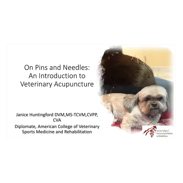 EDUCATION | AVAC Site