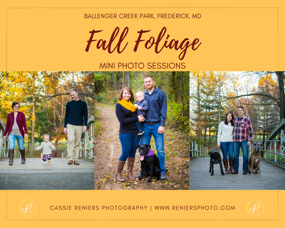 Fall Foliage Mini Photo Sessions: Ballenger Creek Park in Frederick, MD