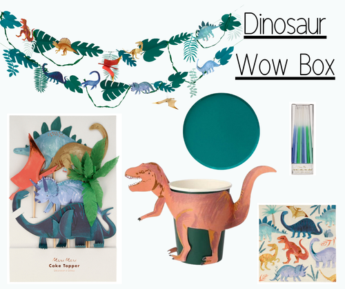 Dinosaur Wow Box | Whimsy & Wow