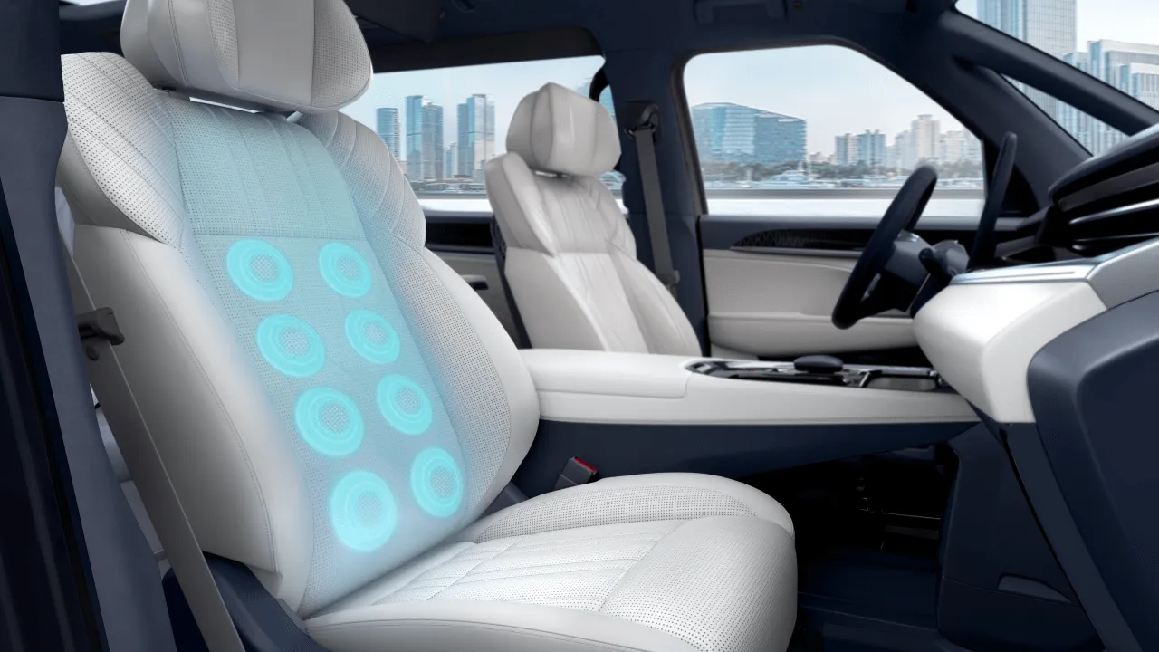 ZEEKR 009 WE 116KWH 702KM | DYHO TRADE