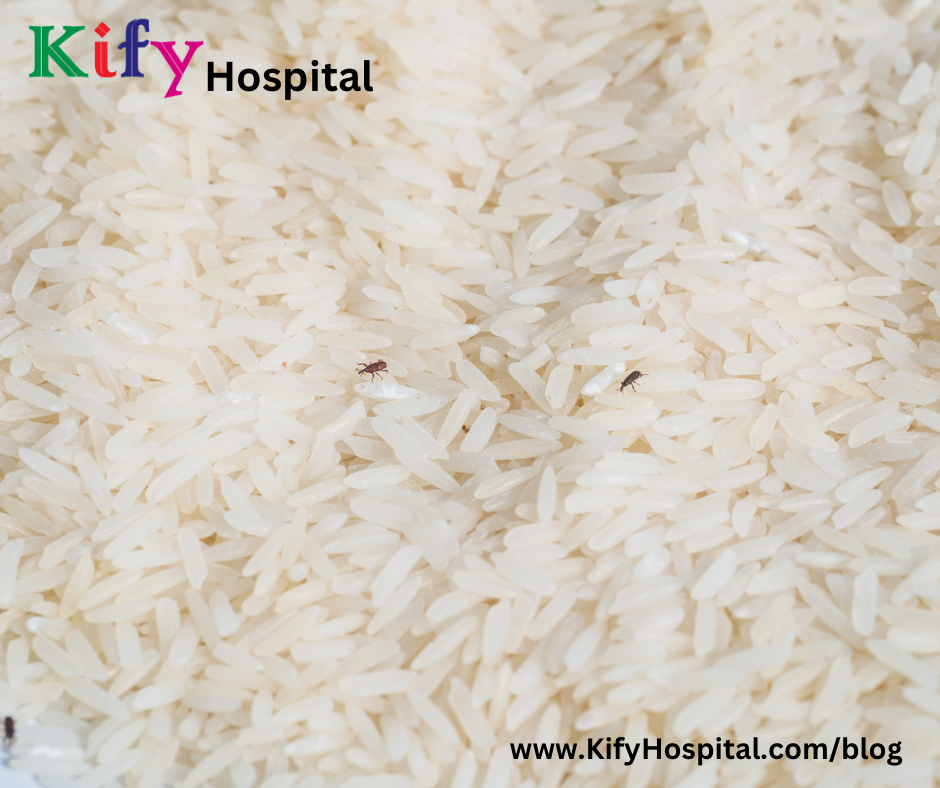How to get rid of bugs in rice?