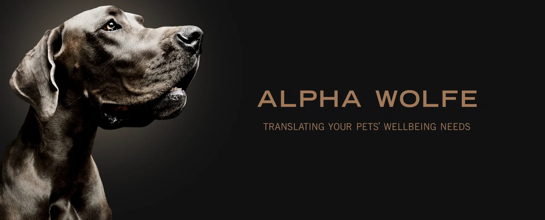 Business | Ethical Good