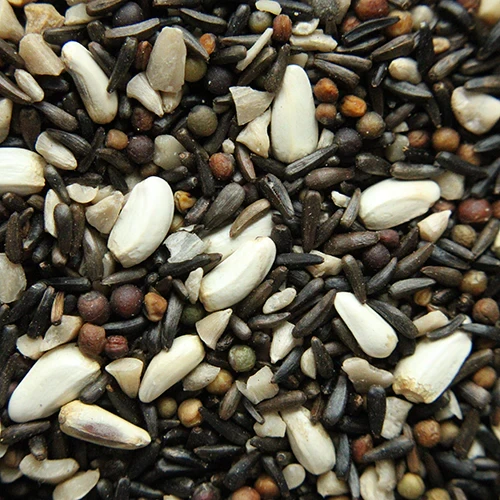 Songbird Seed Birdseed, 4kg Bag | Alternative Landscaping LTD. Brandon, MB