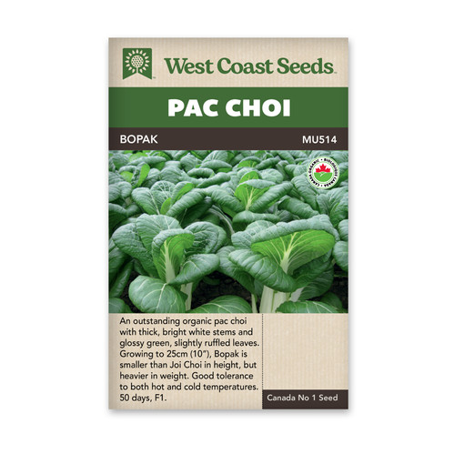 West Coast Seeds Bopak F1 Organic Pac Choi Seeds, Per Package ...