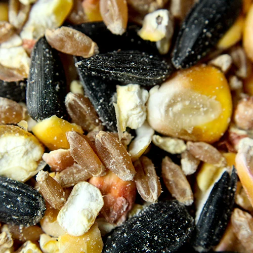 Pick of the Birds Wild Birdseed, Assorted Sizes | Alternative Choice ...