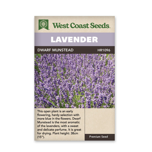 West Coast Seeds Dwarf Munstead Lavender Seeds, Per Package ...