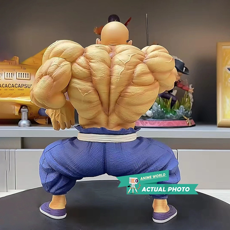 Dragon ball Z Muscle Master Roshi | animeworld.co.nz