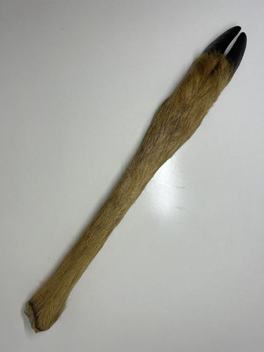 Patte de chevreuil avec poil | Museau En Folie