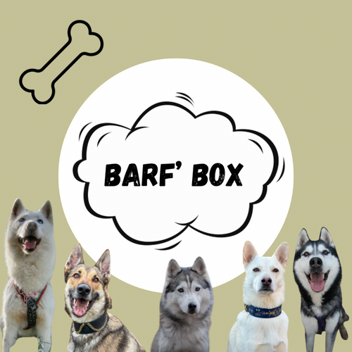 Barf’ Box 🥩 | Museau En Folie