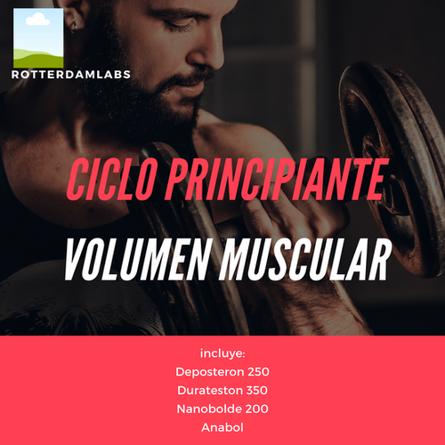 Ciclo de volumen para principiantes | rotterdam-labs
