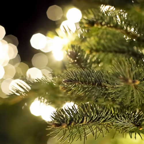 LED Lights | Tradition Company