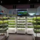 Hydroponic Smart Grow Cabinet W Intelligent Controls | Honolulu Hydroponics