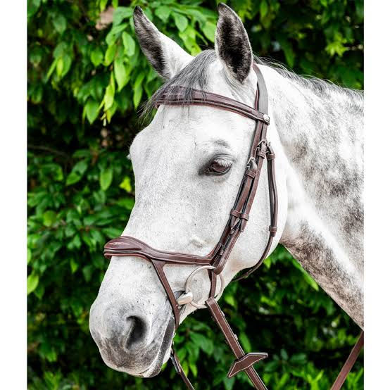 Prestige Anatomic Drop nose Bridle | KPS