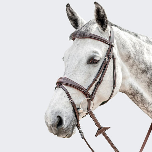 Prestige Stitched bridle with english noseband | KPS