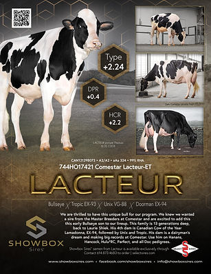 Lacteur | Showbox Sires