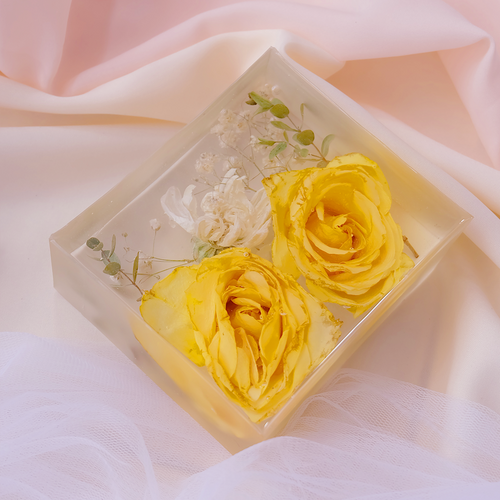 Little Rectangle | Memoir by Sky