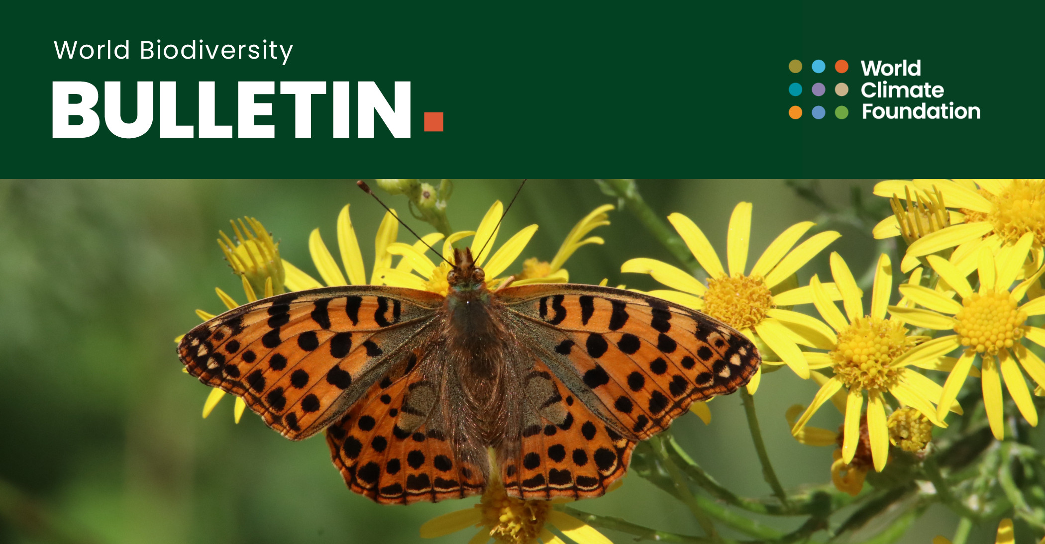 How to 'Be Part of the Plan’ on International Day for Biological Diversity