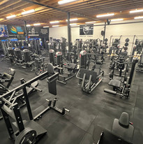 High Performance Gyms In Wexford | Predator Fitness | Home