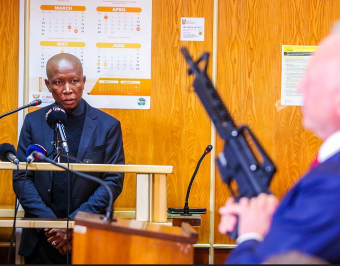 Julius Malema Gun Trial Nears Conclusion as Lawyers Present Final ...