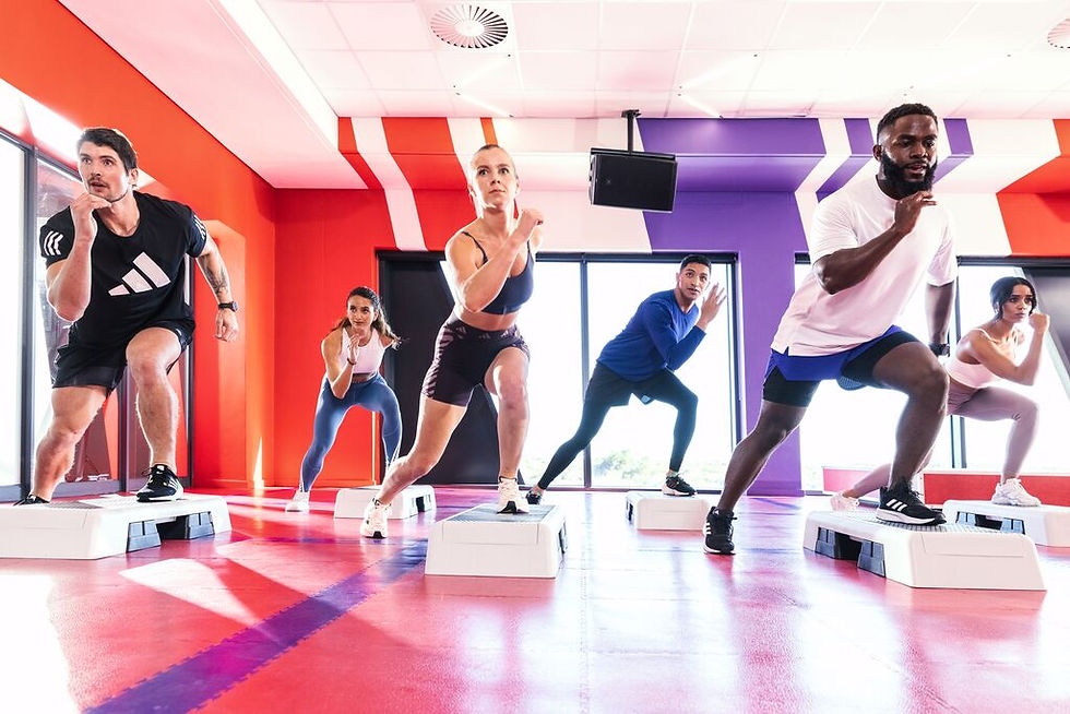 8 Best Gyms in Windhoek-Namibia for Your Fitness Journey