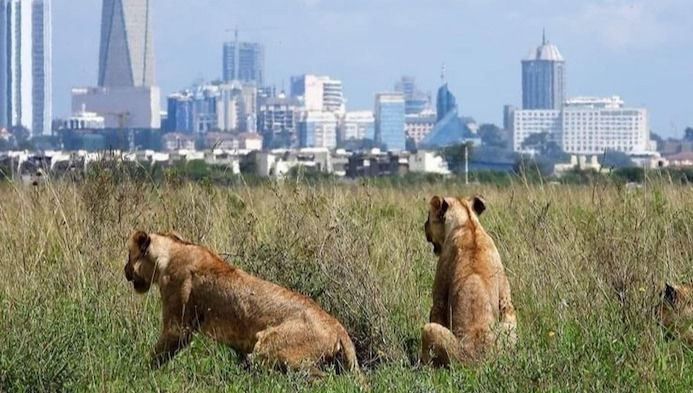 Top 10 tourist attractions in Nairobi Kenya