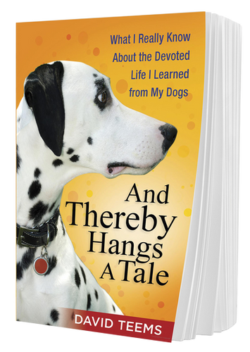 AND THEREBY HANGS A TALE | davidteems