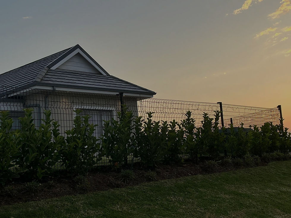 Clear View Fence | Bestfence