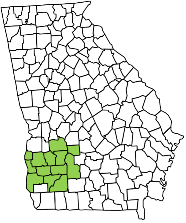 Grantee Summary Reports