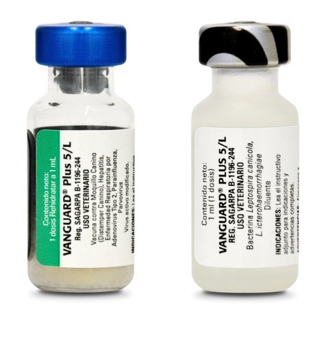 VANGUARD PLUS 5/L | ZonaVeterinaria