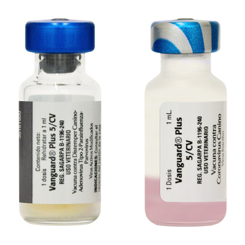 VANGUARD PLUS 5/CV | ZonaVeterinaria