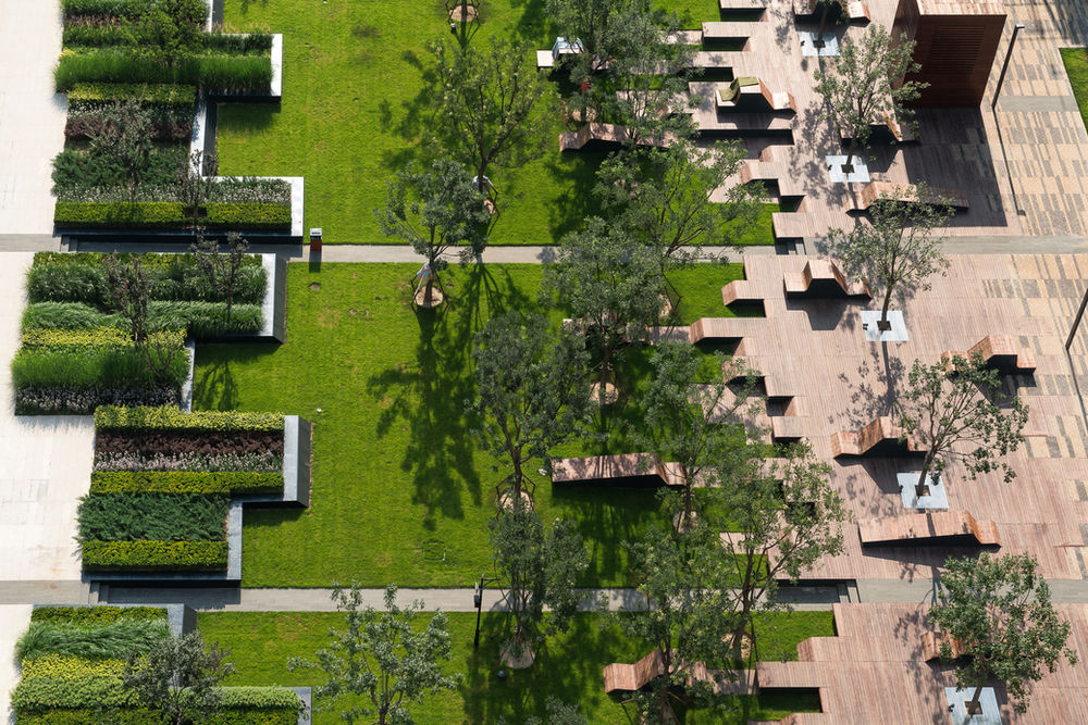 Five Questions for: Landscape Architect Martha Schwartz