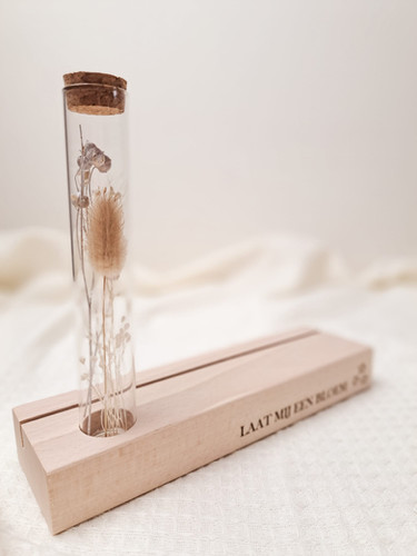 Koesterplank proefbuis droogbloemen | Lestari Moments