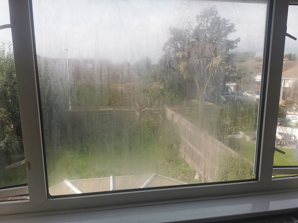 Correcting Cloudy Windows | Cloudy Window Fixer | Brighton