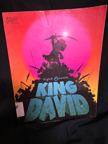 King David graphic novel | IncredibleCollectorLLC